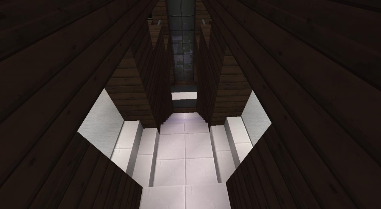 Mirrored-a one person modern home Minecraft Map