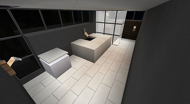 Mirrored-a one person modern home Minecraft Map