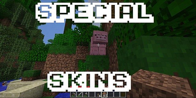 Special Skin Database [May 3rd, 2014] [3 Skins] [Help grow list!]