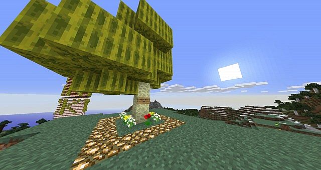 Boundless Minecraft Server