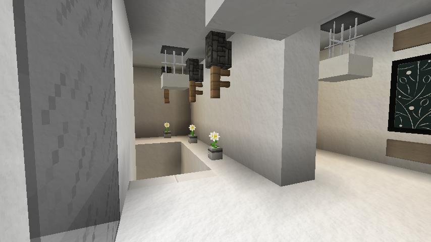 All White Minecraft Map