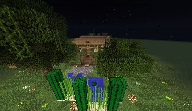 The wooden house with a pond Minecraft Map