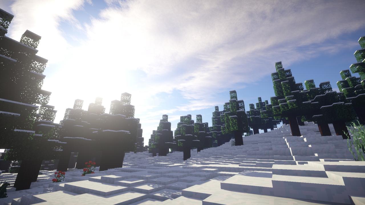 Winter Forest Minecraft Map