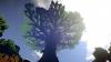 Mother of trees | Town included Minecraft Map