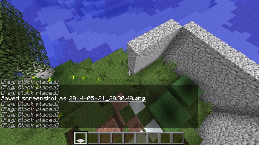 The Magic Flying/Walking Carpet! Minecraft Map