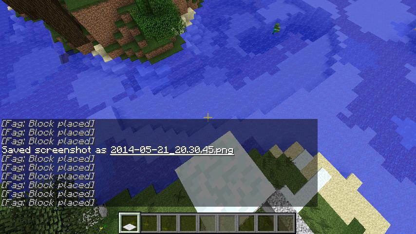 The Magic Flying/Walking Carpet! Minecraft Map