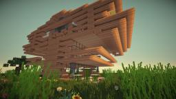 |Curve| modern House Minecraft Map