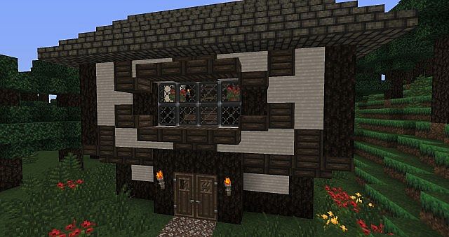 Cottage Minecraft Map