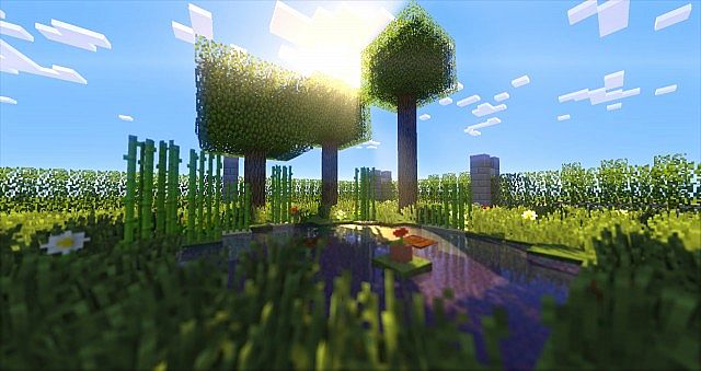 Eco Living | Live together with the Nature Minecraft Map