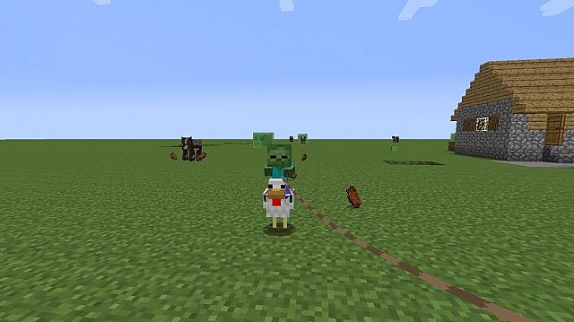 Weirdest Things I have seen in Minecraft