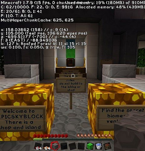 Epic Skyblock Minecraft Map