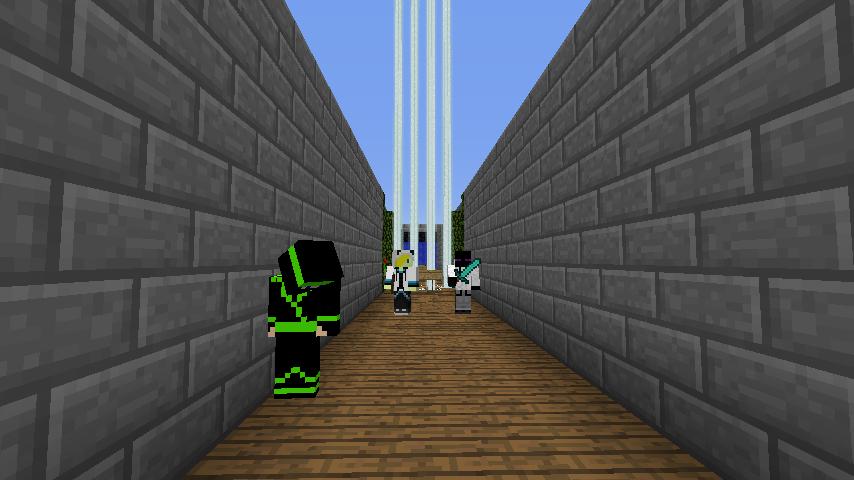 Team Duck Minecraft Server