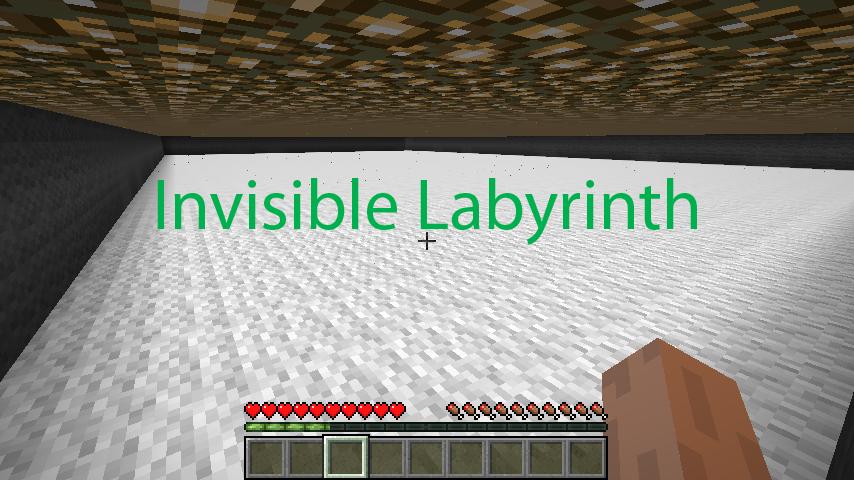Invisible Labyrinth Minecraft Map