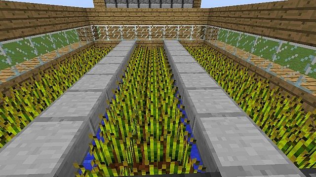 Automatic Farm Minecraft Map
