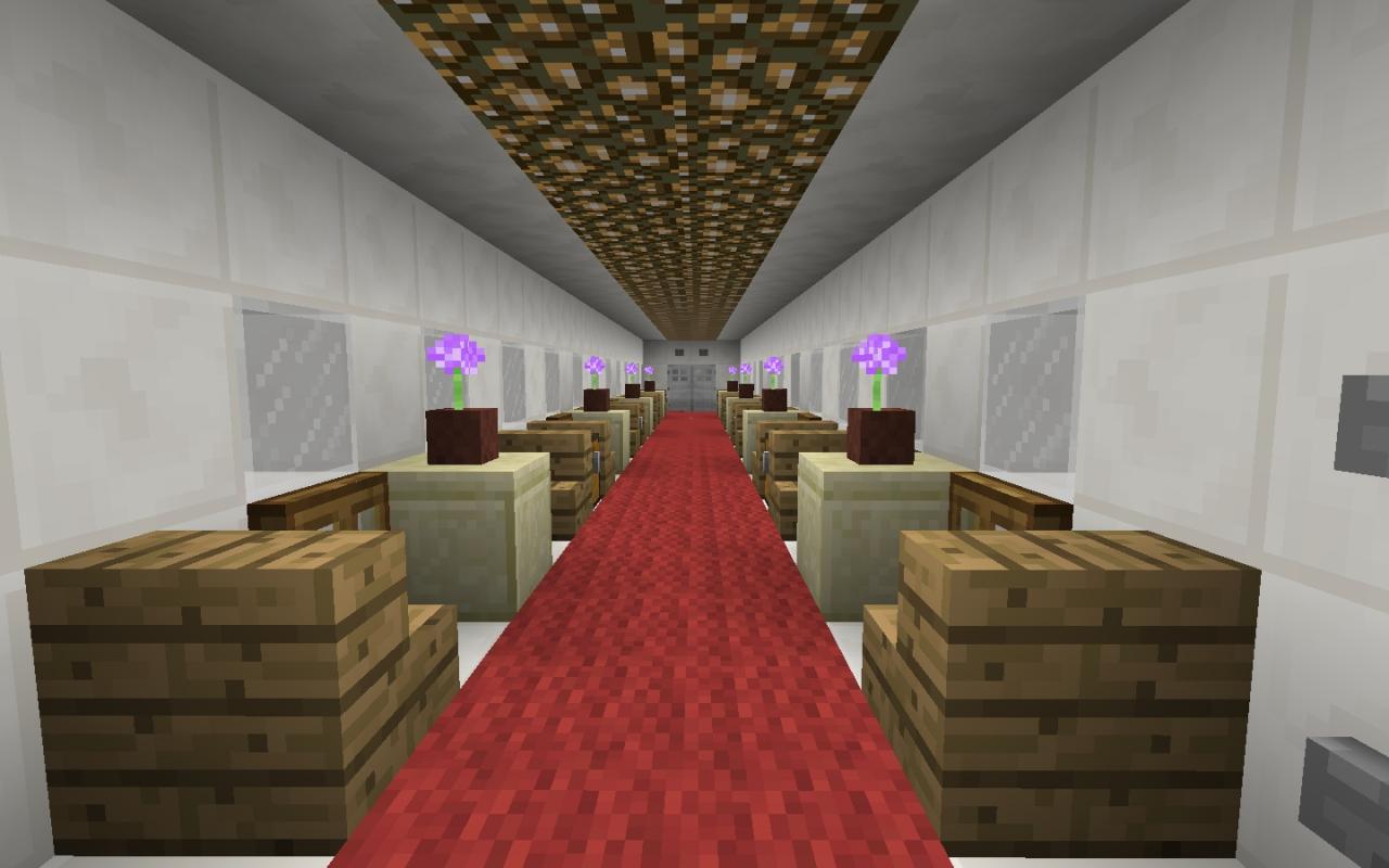 Mega's First Ever Plane Minecraft Map