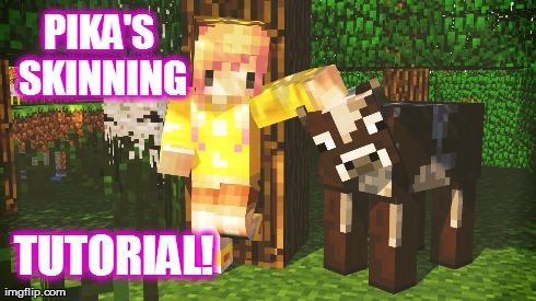 ᑭIKᗩ ~ Hair & Face Shading Tutorial :3 Minecraft Blog