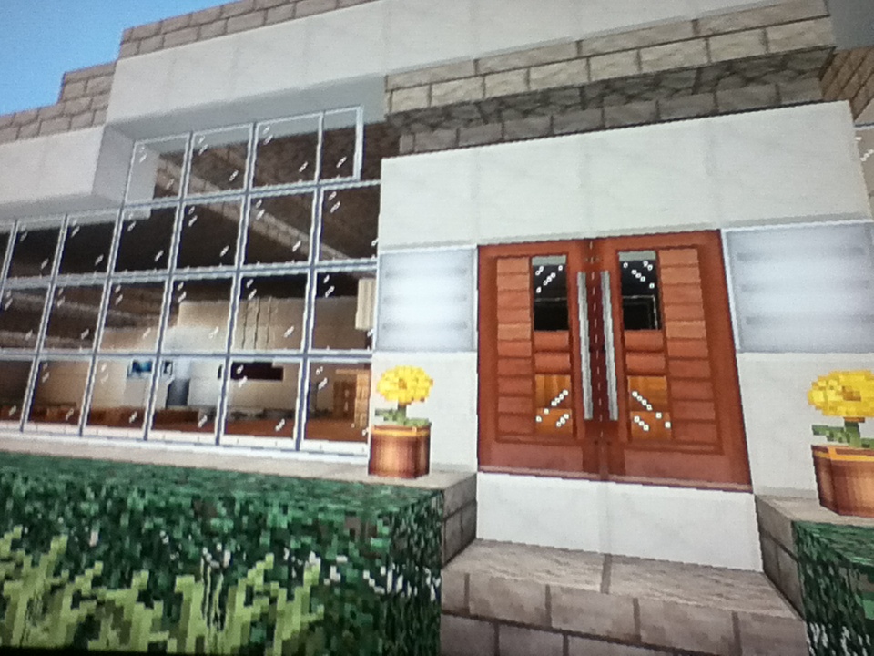 'Curve' Modern Organic House Minecraft Map