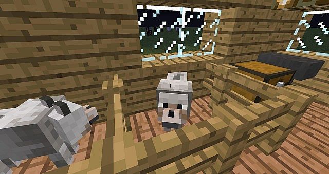 Pet shop Map Minecraft Map