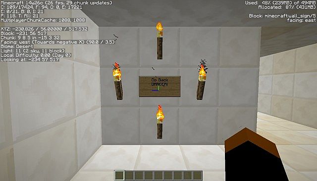 Asylum Minecraft Map