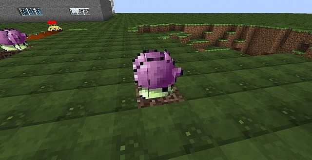 Plants vs Zombies 2 texturepack 2.9 - MC1.8 Plants Returns Minecraft ...