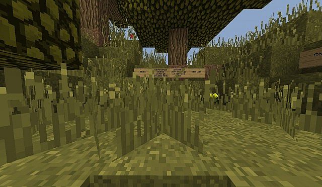 Answer Right or DIE! (2 Version) Minecraft Map