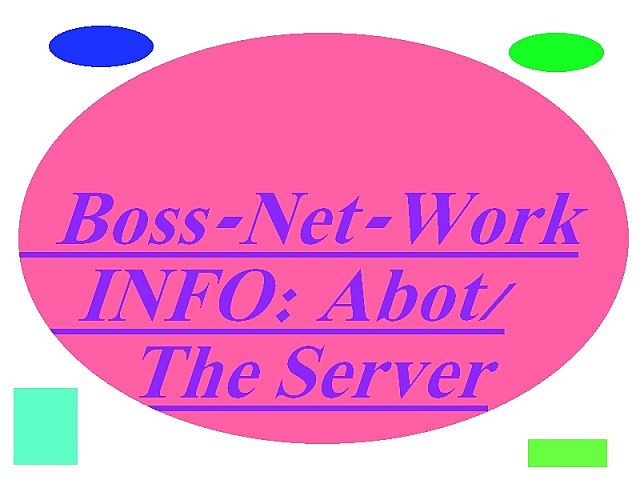 Boss-Net-Work Minecraft Server