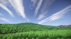 Windows XP "Bliss" wallpaper recreated Minecraft Map
