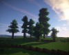 Beautiful Tree Pack Minecraft Map