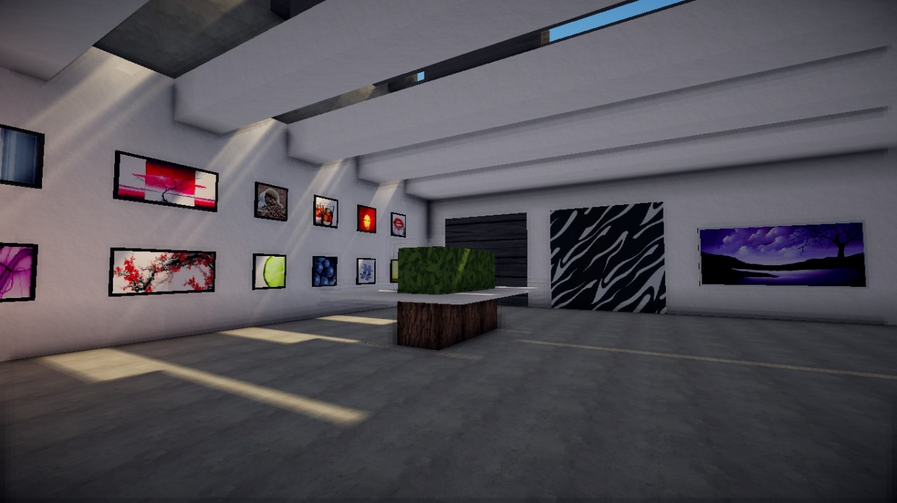 Alpha- Modern art gallery Minecraft Map