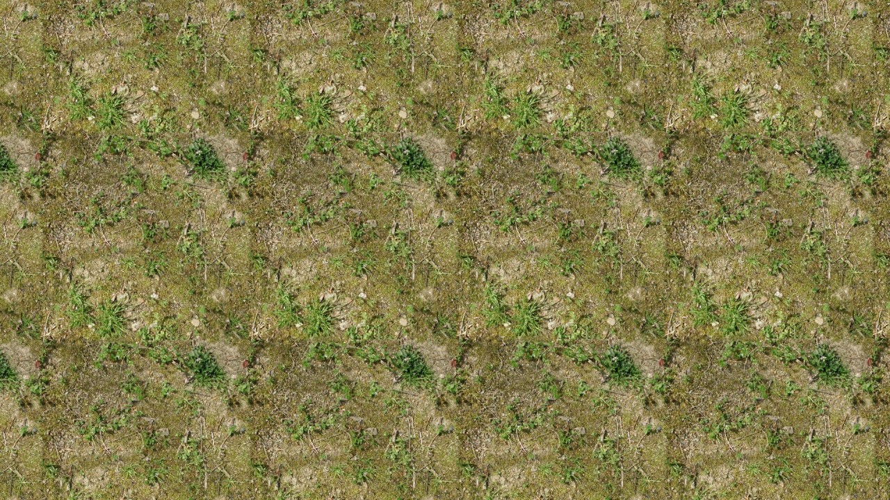 Pikmin Map Texture Pack (backup) Minecraft Texture Pack