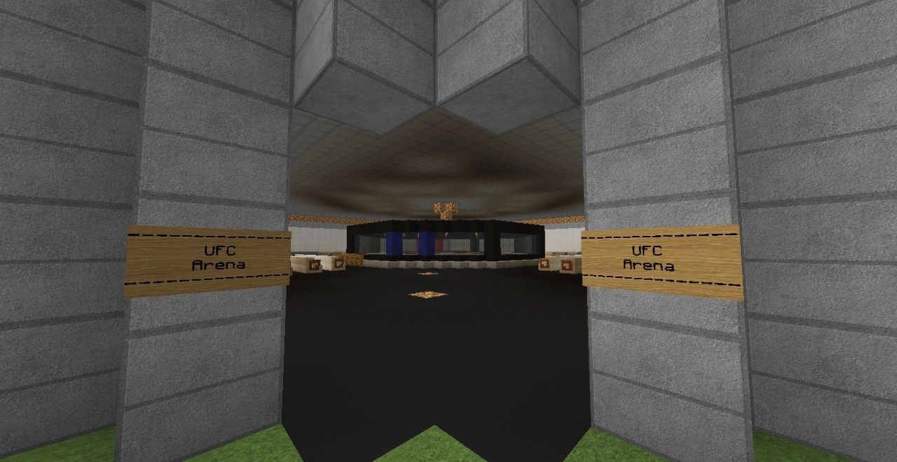 Small UFC Arena Minecraft Map