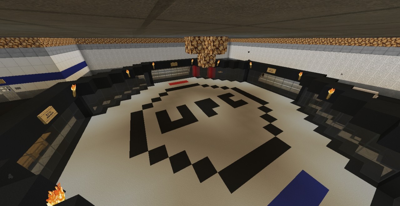 Small UFC Arena Minecraft Map
