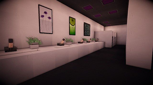 Odd Art Gallery Minecraft Map