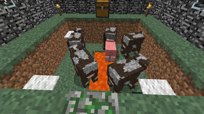 swap survival Minecraft Map