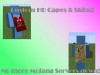 Custom HD Capes & Skins! Minecraft Mod