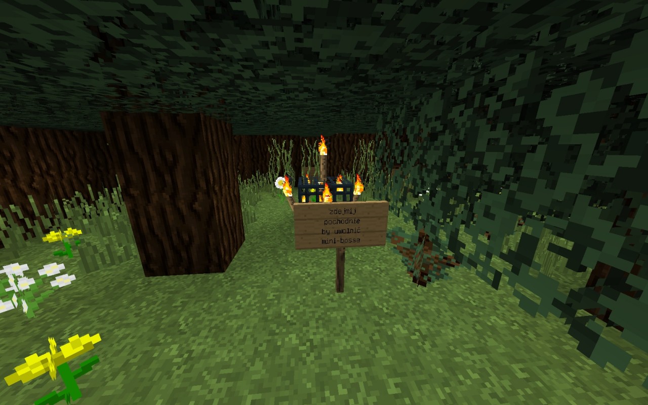 Arena PvE Minecraft Map