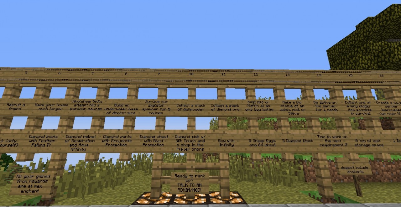 LevelUp Minecraft Minecraft Server