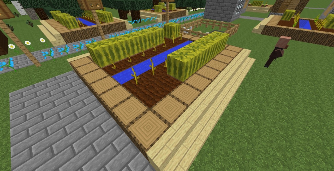 New npc village design! Minecraft Map