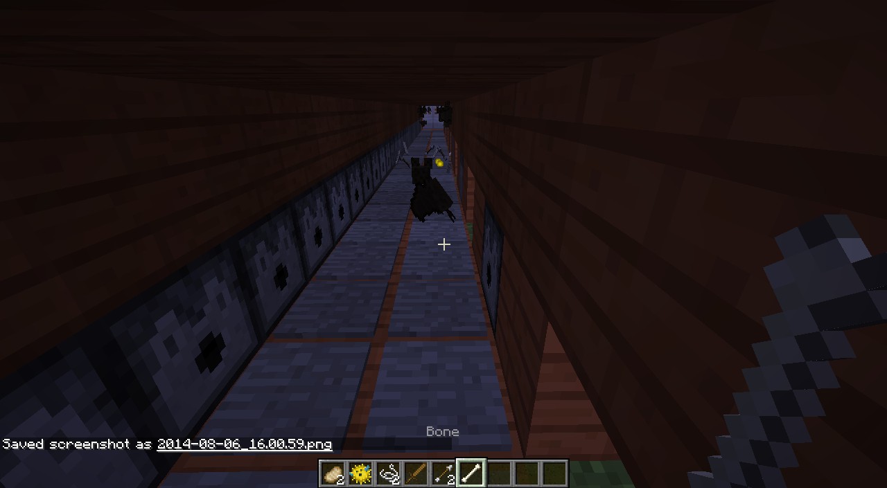 arrow/mob run Minecraft Map