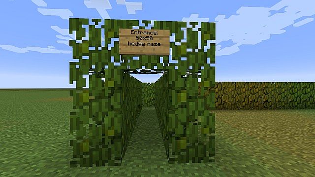 Standard hedge maze 50x50 Minecraft Map