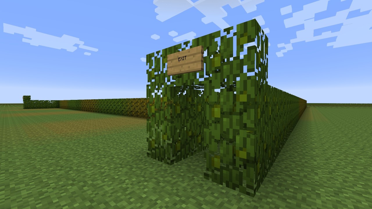 Standard hedge maze 50x50 Minecraft Map
