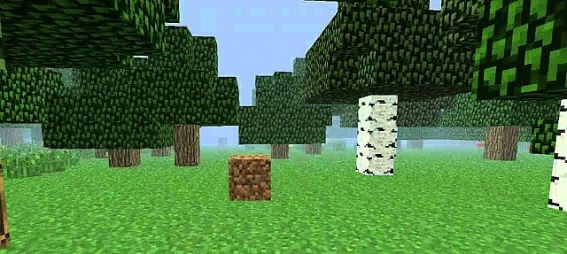 Dirt block Minecraft Map
