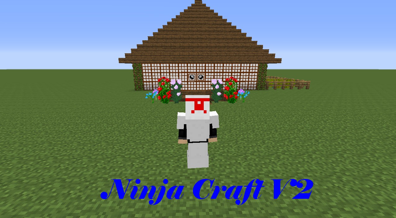 Ninja Craft V2 Minecraft Texture Pack