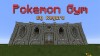 Pokemon Gym Minecraft Map
