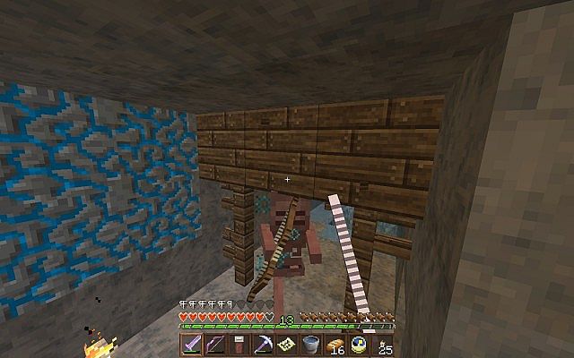 Damage Screenshots Minecraft Mod