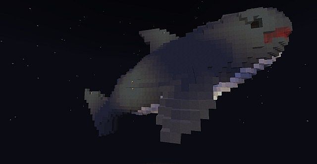3D Shark blueprint (now with the video) Minecraft Map