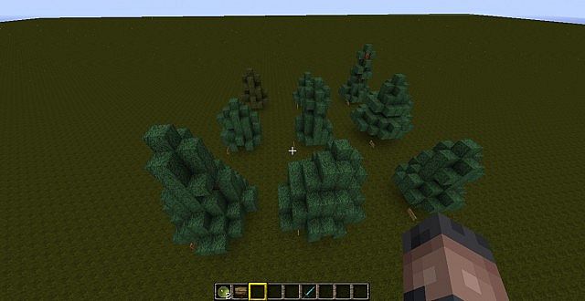 Cqdyer96's Tree Repository Minecraft Map