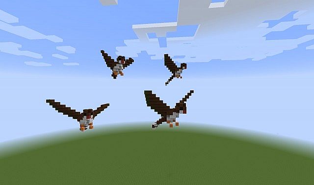 Birds Minecraft Map