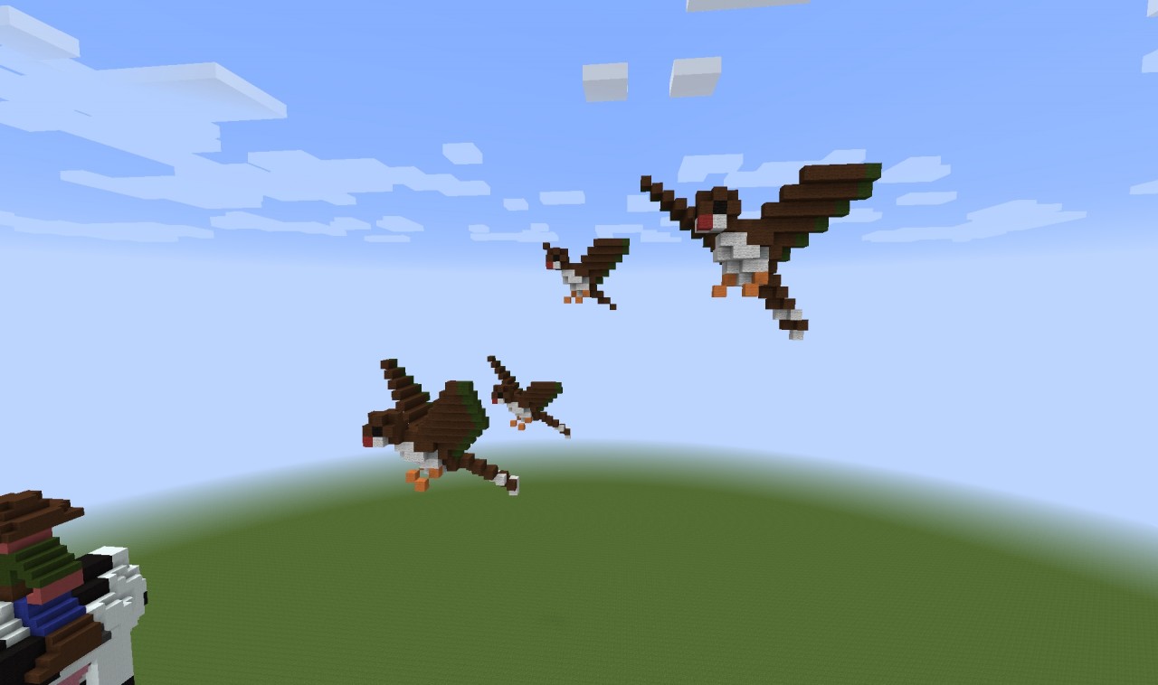 Birds Minecraft Map