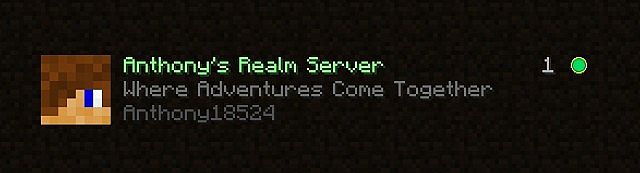 Join Our Realms Server! Where Adventures Come Together!